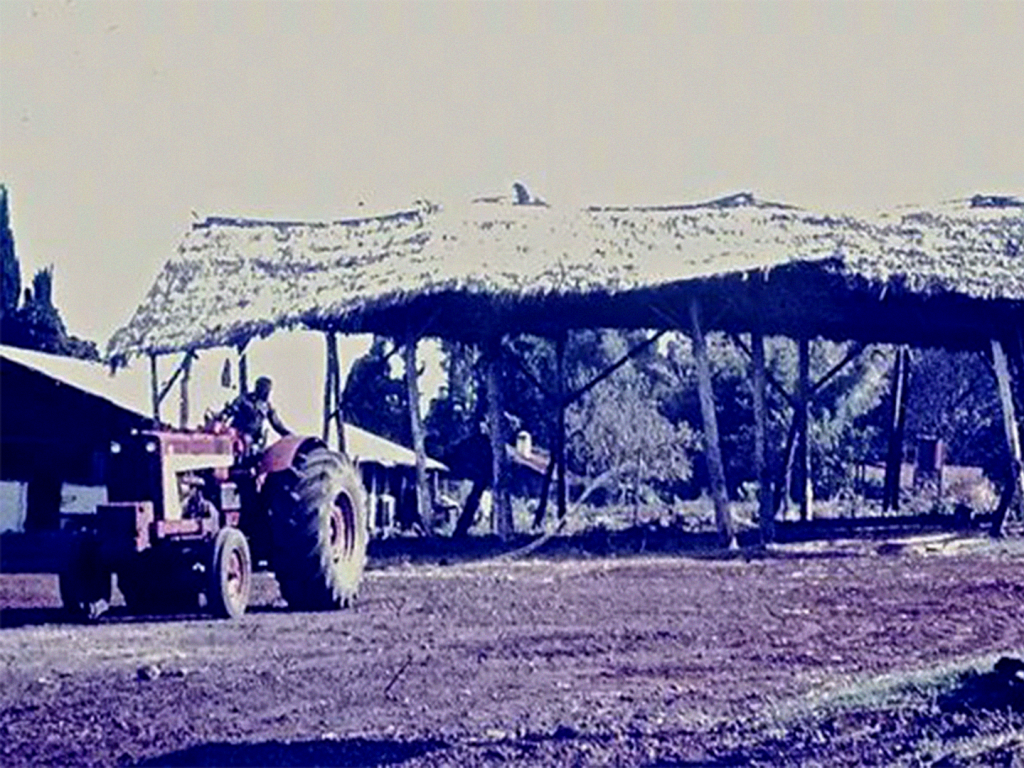 History – Simba Farm Lodge