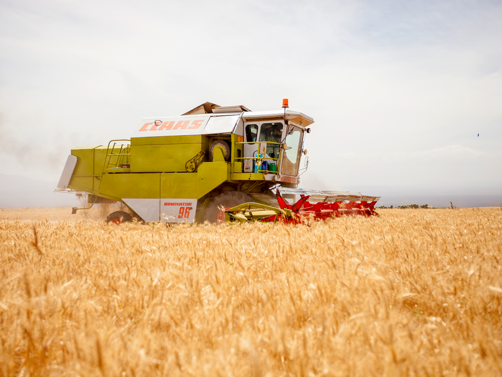 Simba Farm Lodge – Simba Farm is a working farm and lodge situated on ...